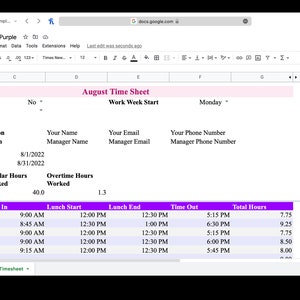 Monthly Timesheet Template for Microsoft Excel & Google Sheets (pink ...