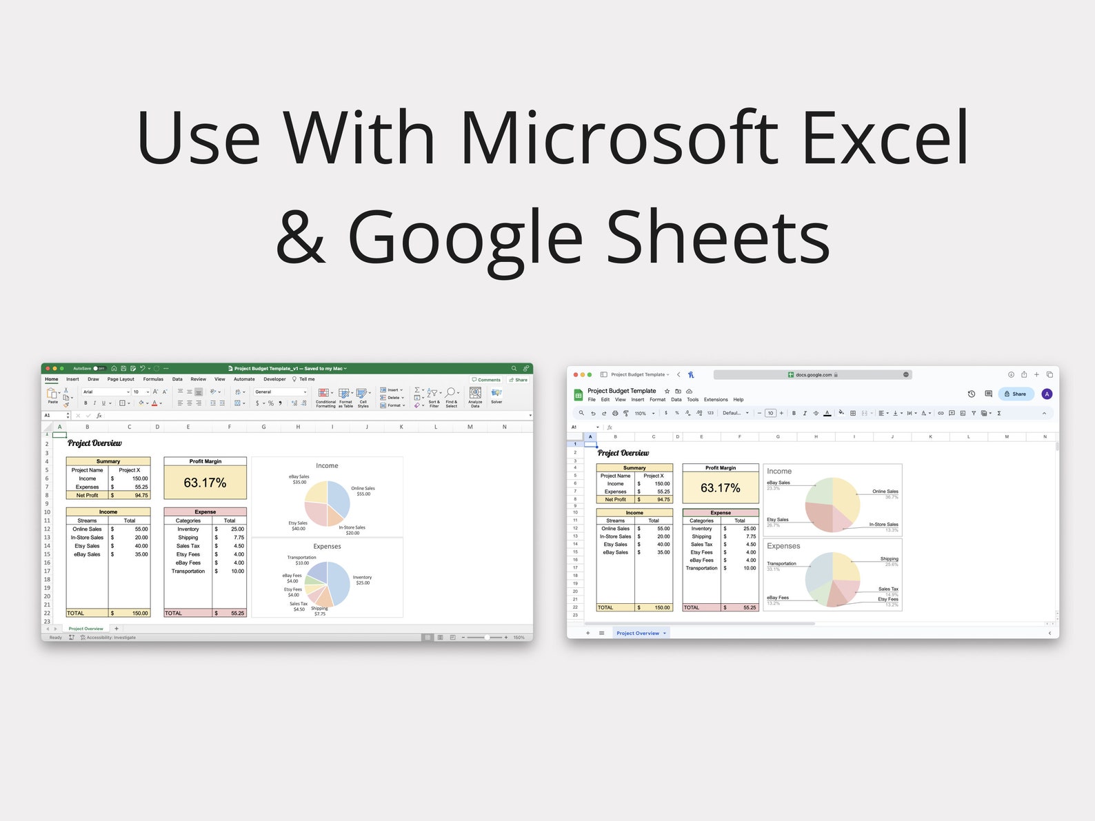 Project Budget Template Microsoft Excel/google Sheets Compatible, Track ...