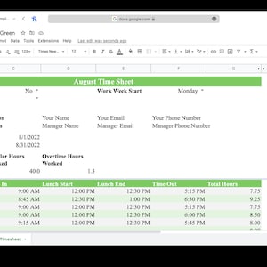 Monthly Timesheet Template for Microsoft Excel & Google Sheets green ...