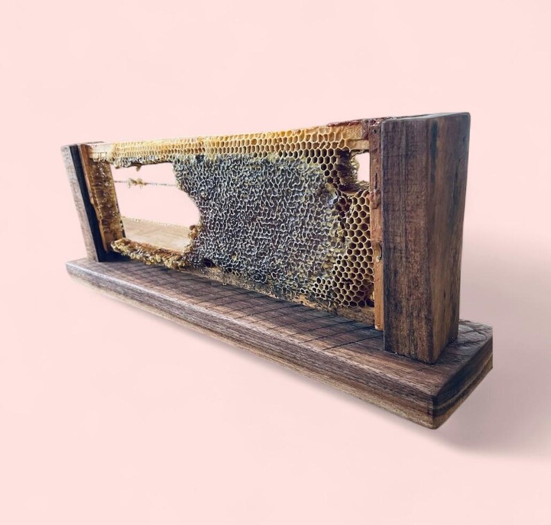 A Elegant Wooden Honeycomb Display Stand - Etsy