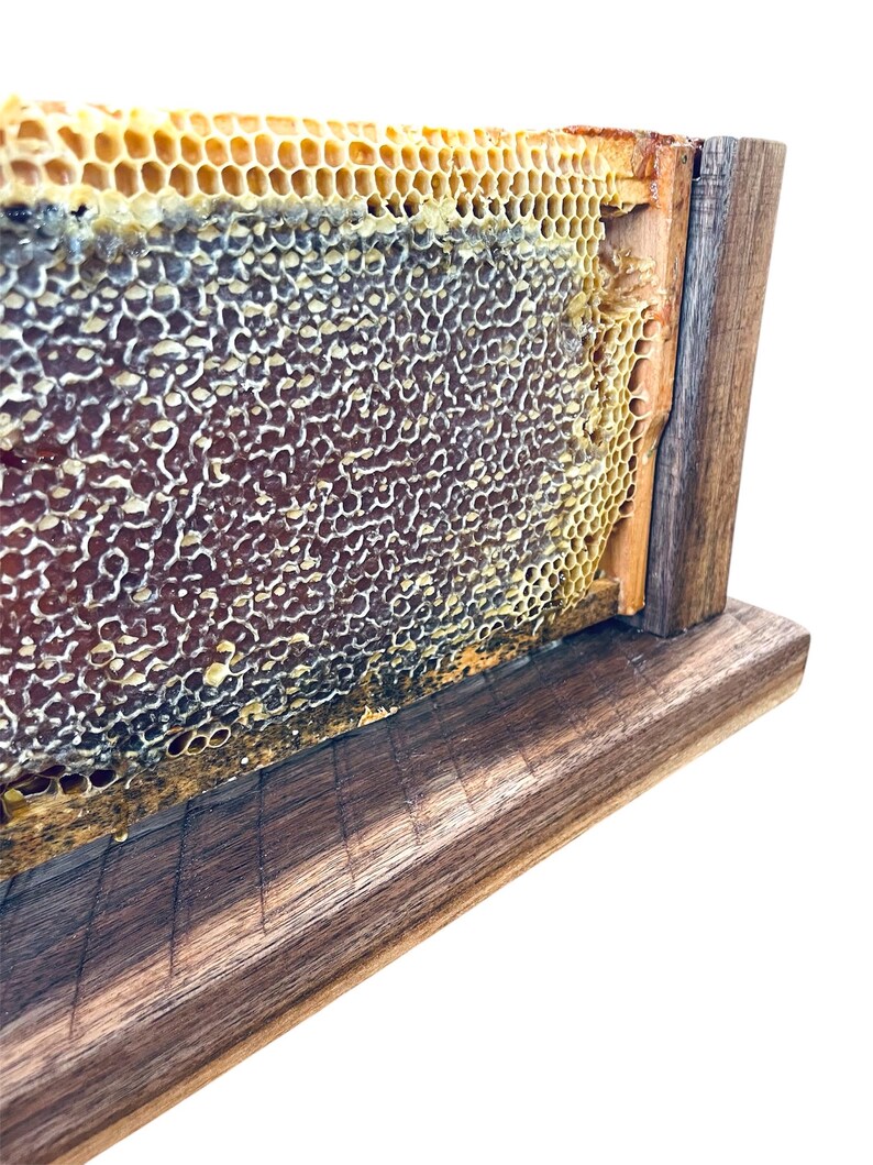 A Elegant Wooden Honeycomb Display Stand - Etsy