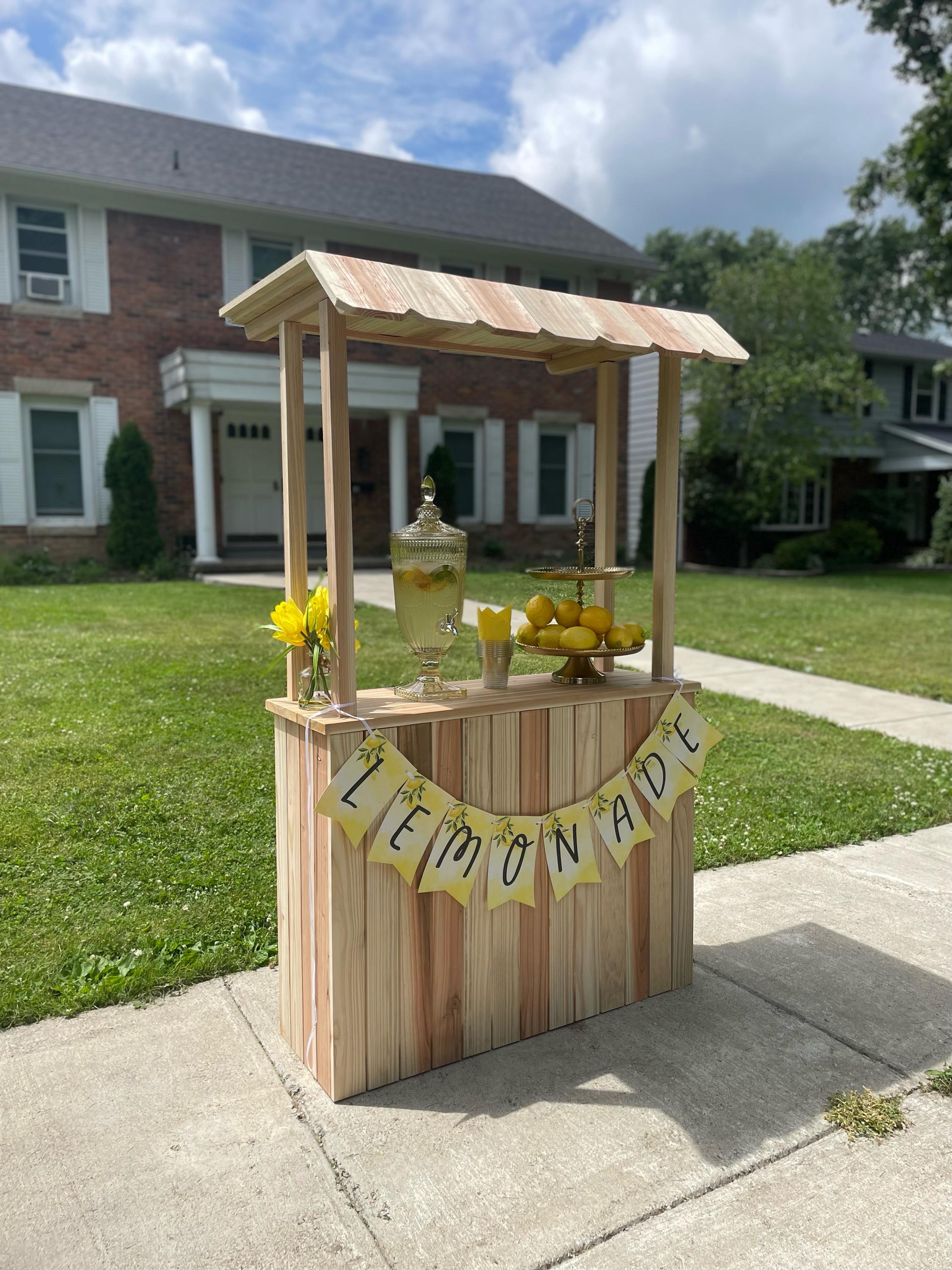 Kids Lemonade Stand - Etsy