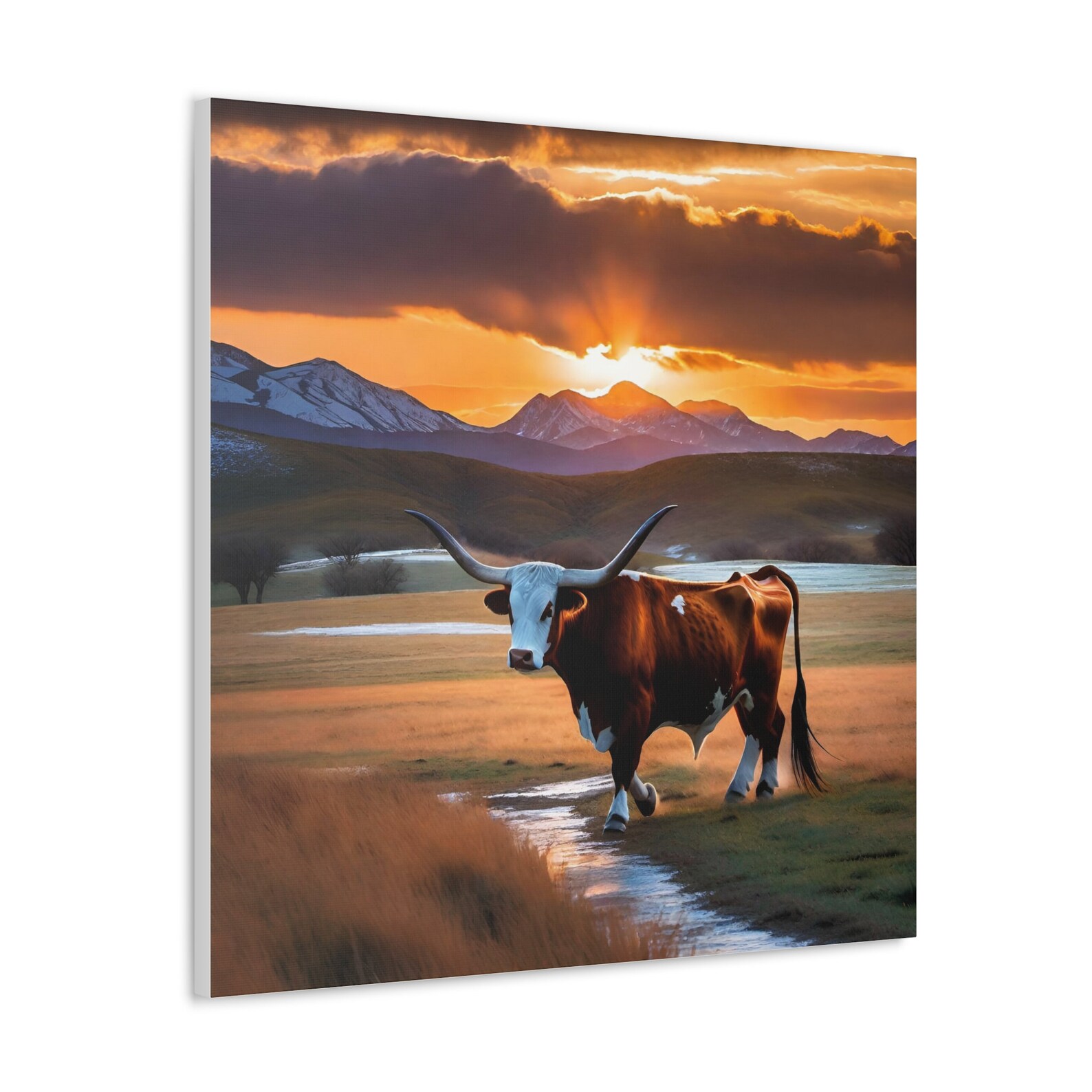 Longhorn in the Sunset - Etsy