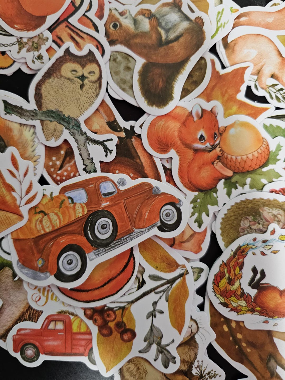 Nature Inspired Stickers Lot of 5 Stickers Computer Decals Waterbottle ...