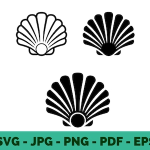Shell SVG / Sea Shell / Mermaid / Beach / Summer / Bundle / PNG ...