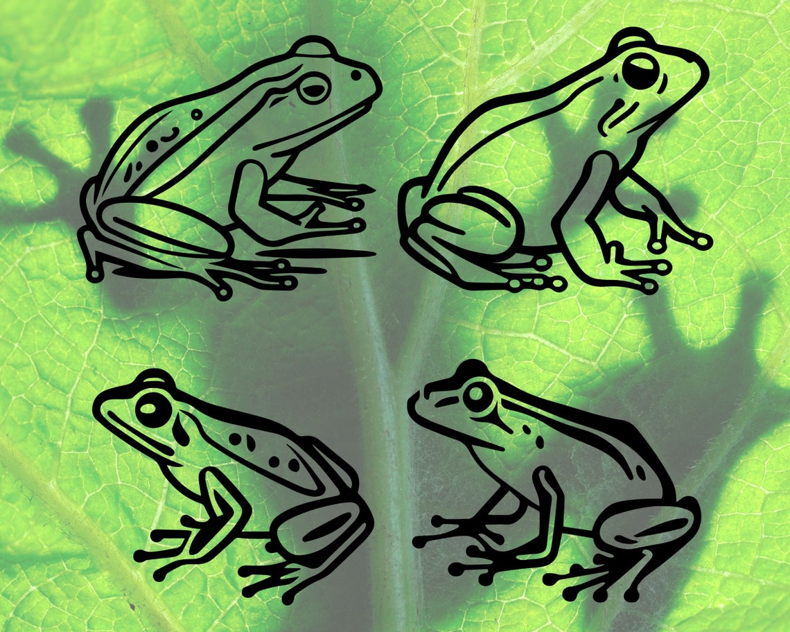 Rana svg rana loca svg dibujo ranas svg rana clipart rana - Etsy México