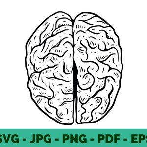 Brain SVG / Mental Health / Brain PNG / Medical SVG / Clipart / Vector ...