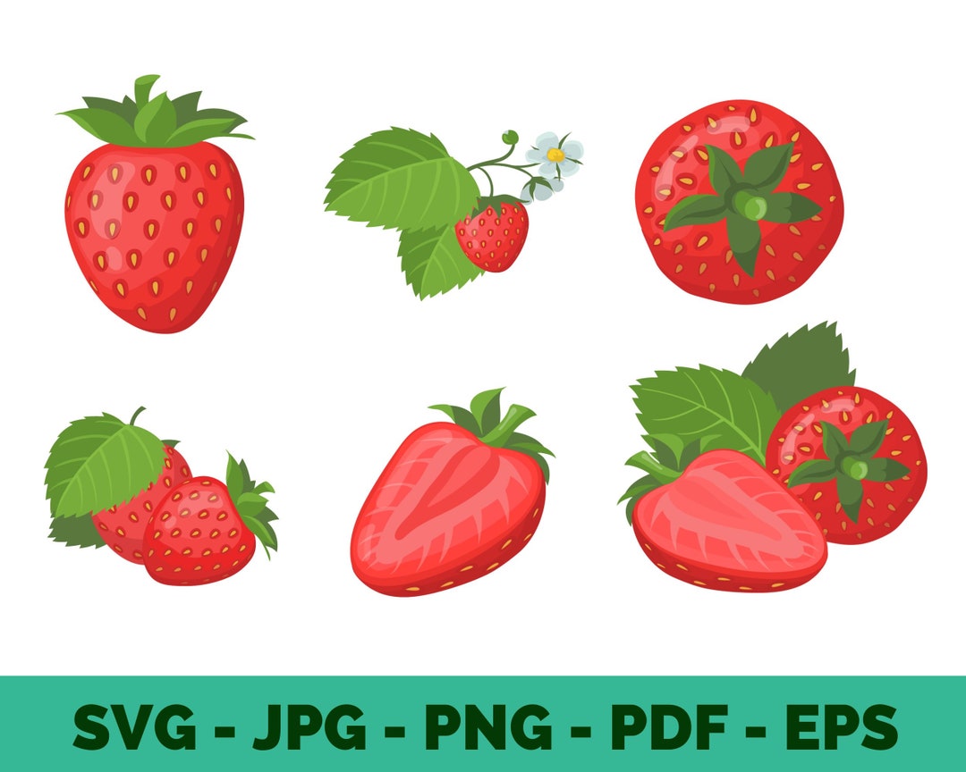 Strawberry Clipart Fruit Clipart Strawberry Png Strawberries - Etsy