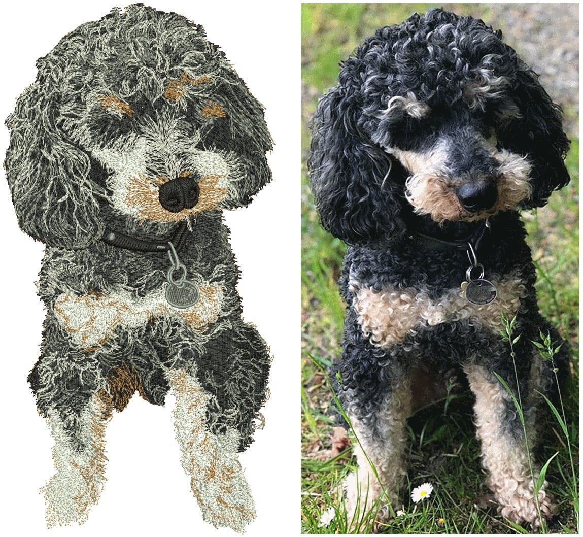 Rottweiler Dog Embroidery Design, Watchdog, Live Image Digitizing, Cute ...
