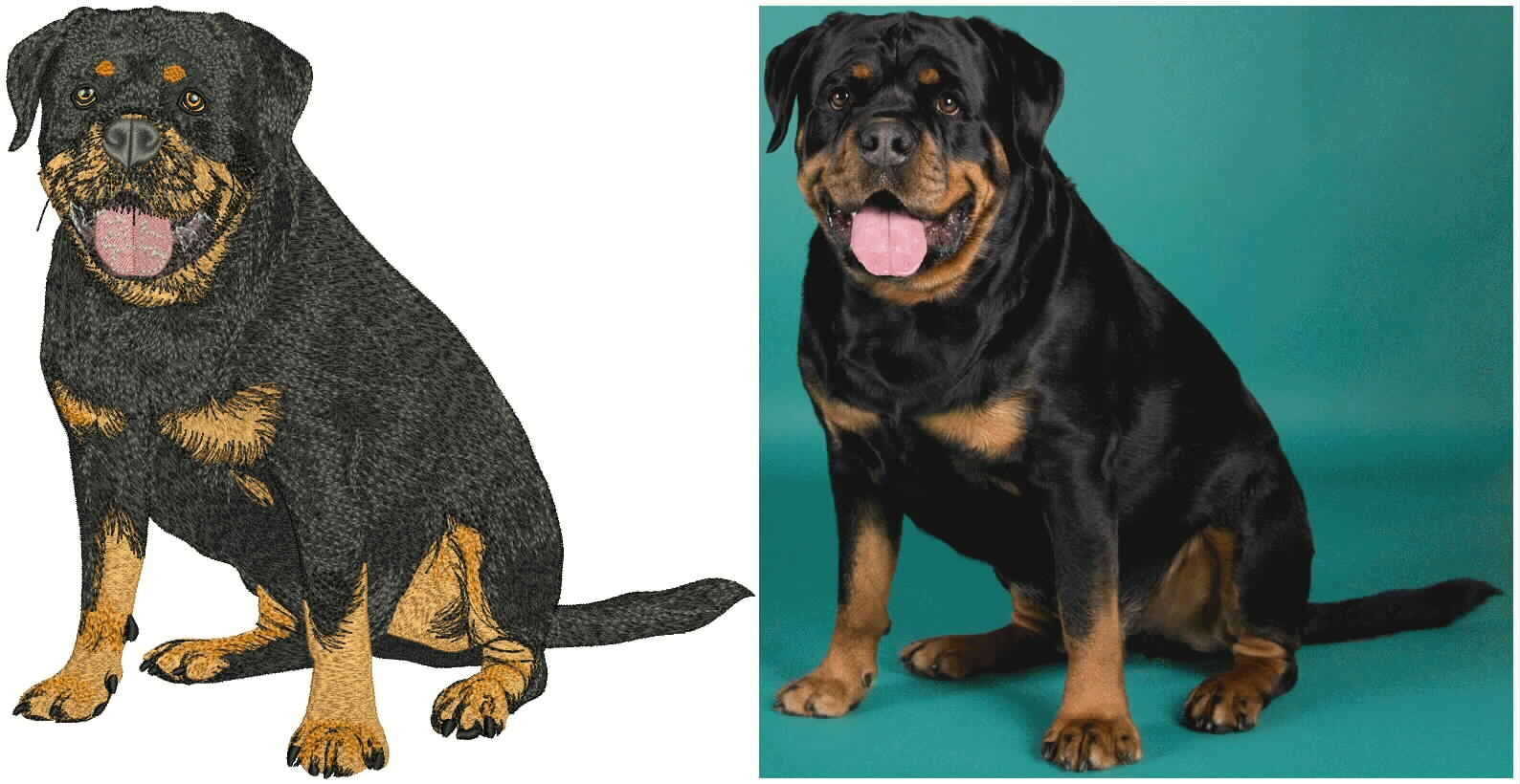 Rottweiler Dog Embroidery Design, Watchdog, Live Image Digitizing, Cute ...