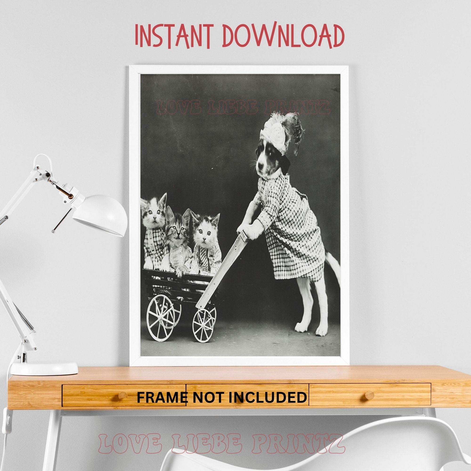 Funny Animals Photo Victorian Dog Photo Odd Puppy Old Photo Nursery ...