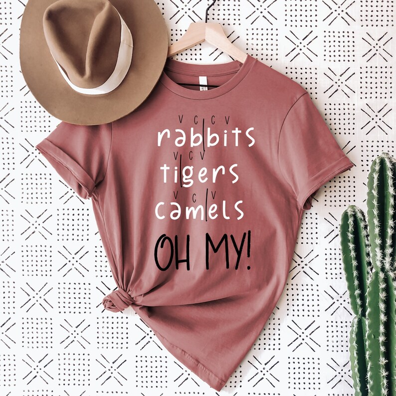 Syllable Division Tee Science of Reading Reading Specialist - Etsy