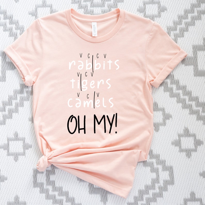 Syllable Division Tee Science of Reading Reading Specialist - Etsy