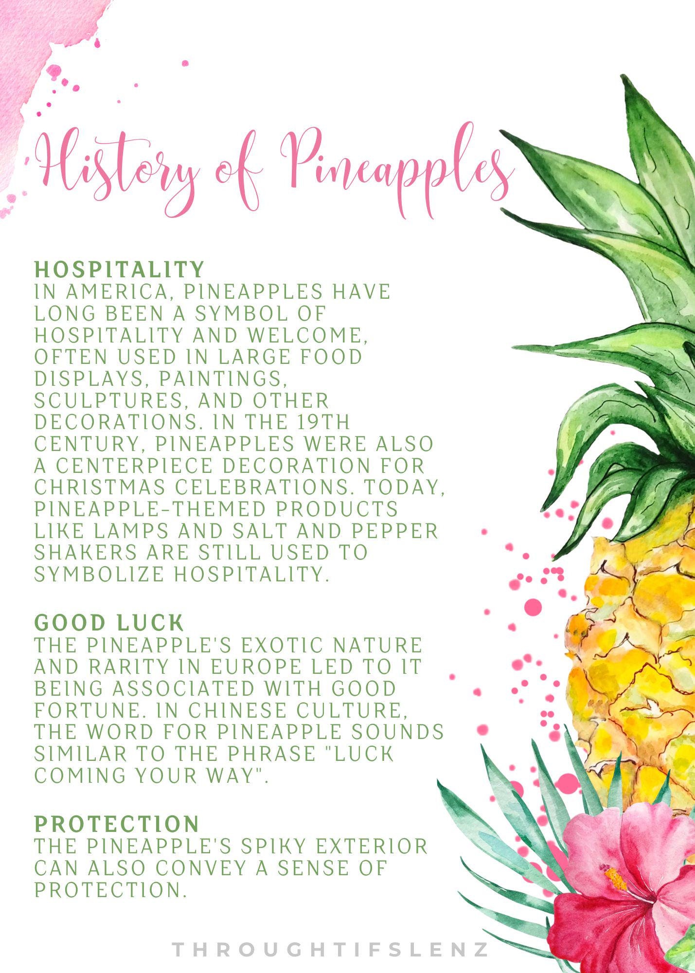 Pineapple Info Card for Gifting - Etsy