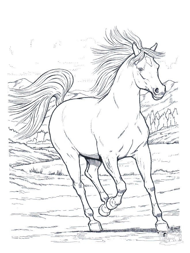 Coloring Book for Kids (my Horse) - Etsy