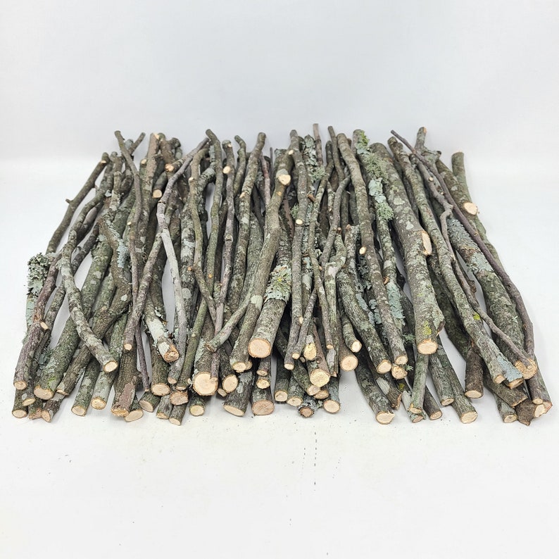 Hickory Branches for Crafting 72 Ct. 12 Length - Etsy