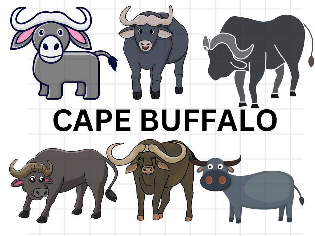 Cape Buffalo Head Design\ Svg Png\ Vector Graphic Cut File Laser Clip ...