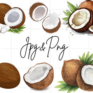 Coconut SVG Bundle\ Coconut\ Coconut Png\ Coconut Vector\ Coconut ...