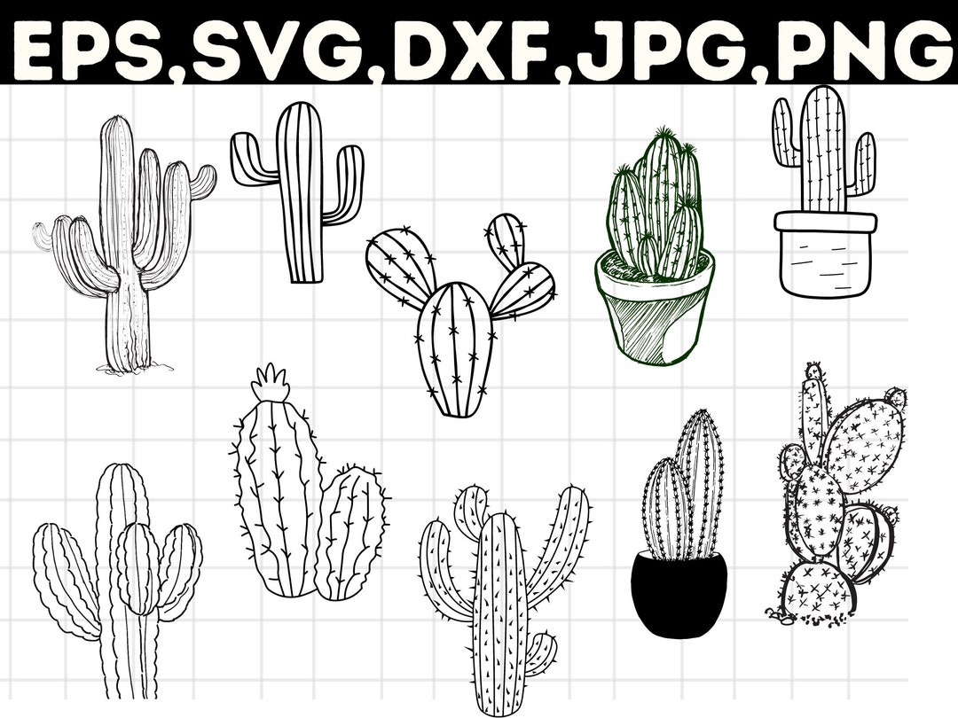 Cactus SVG Cactus Svg Files for Cricut Cactus Svg Bundle PNG DXF Cactus ...