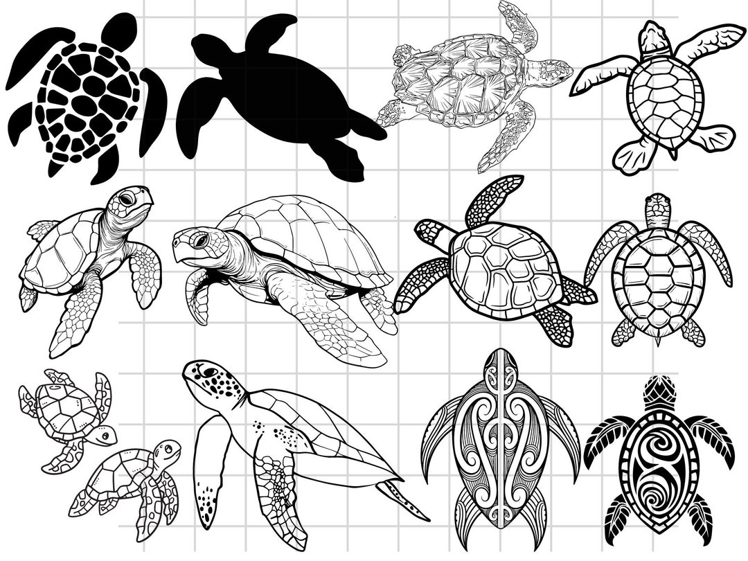 TURTLE SVG\ Sea Turtle Svg\ Sea Turtles DESIGNS Clipart\ Turtle Svg ...
