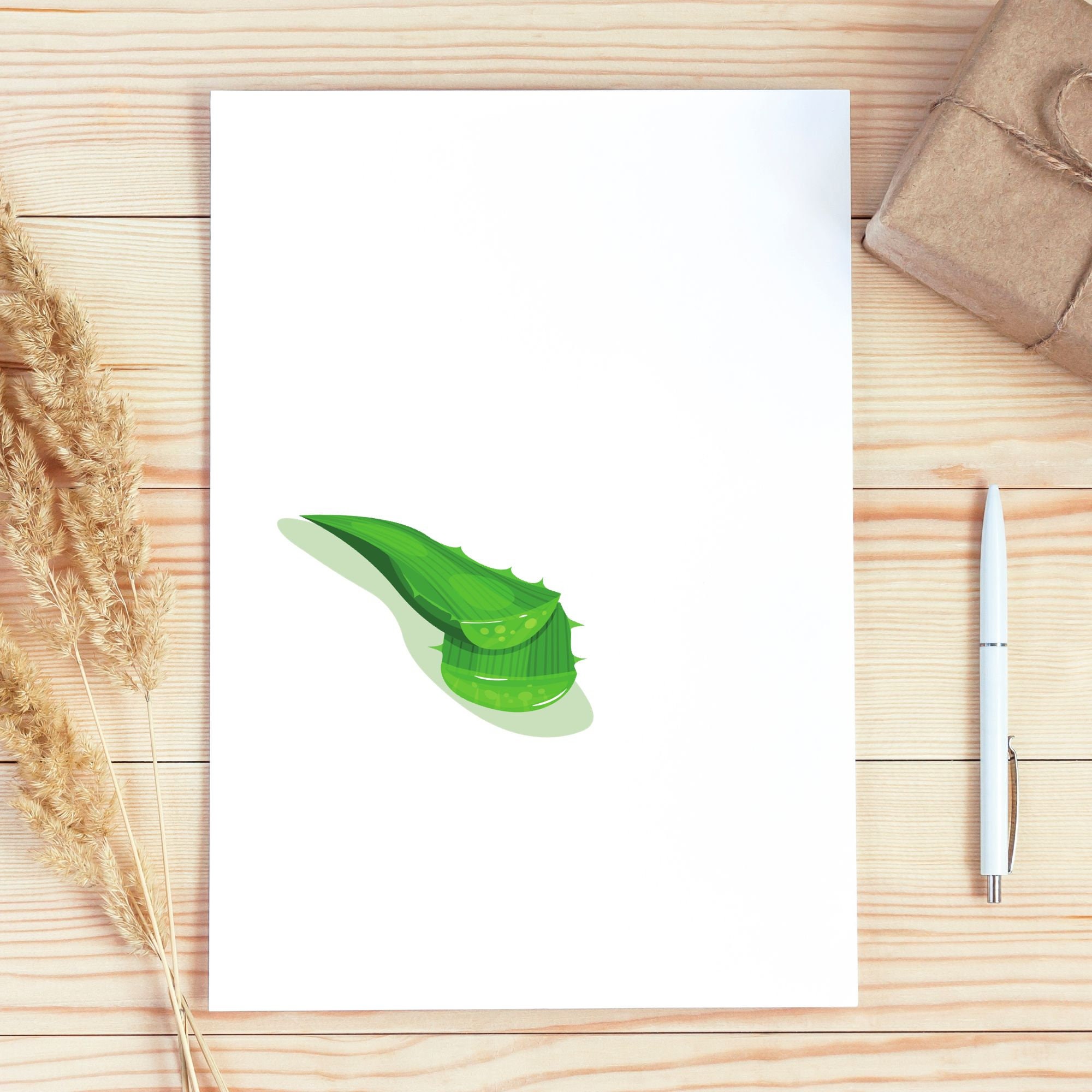 Aloe Vera SVG Bundle\ SVG Files for Cricut\ Plant Svg\ Medical Plant ...