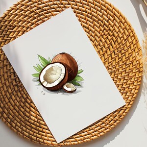 Coconut SVG Bundle\ Coconut\ Coconut Png\ Coconut Vector\ Coconut ...