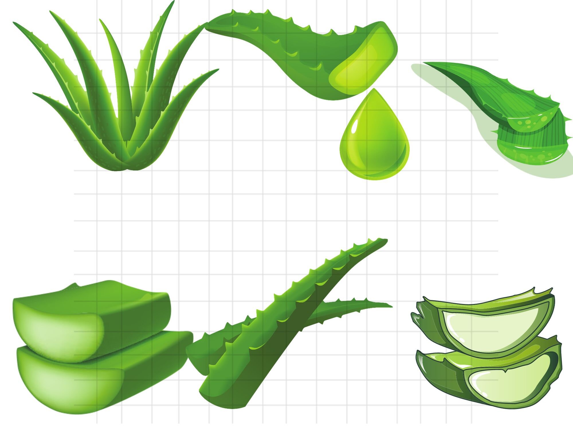 Aloe Vera SVG Bundle SVG Files for Cricut Plant Svg Medical Plant SVG ...