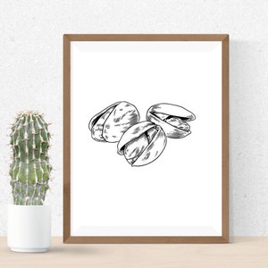 Nuts SVG Bundle\ SVG Files for Cricut\ Nut Clipart\ Nature SVG\ Forest ...