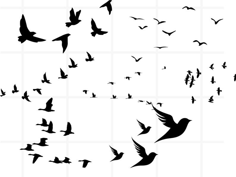 Flying Crow Silhouettes\ Flying Crows SVG\ Flying Crow SVG Bundle ...