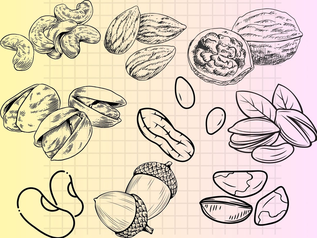 Nuts SVG Bundle\ SVG Files for Cricut\ Nut Clipart\ Nature SVG\ Forest ...