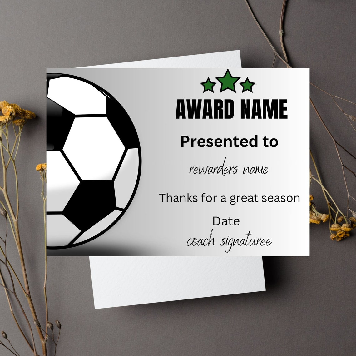 Soccer Award Certificate Editable Canva Template\ Printable Award End ...