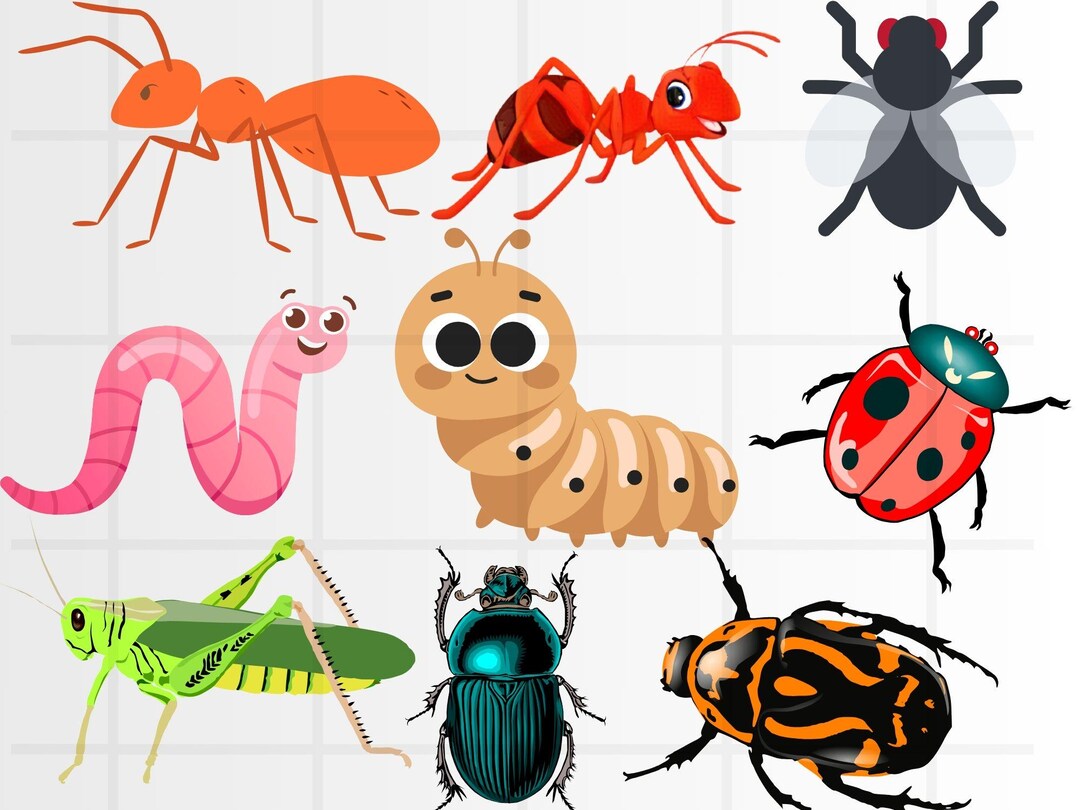 Cute Insects Svg Cut File for Cricut\ Silhouette and Clip Art - Etsy