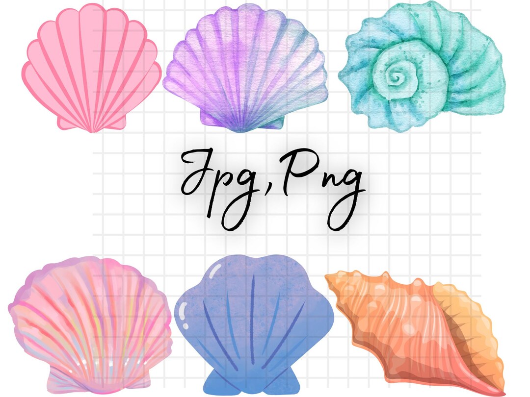 Seashells Watercolor Clipart Bundle\ Nautical Coastal Shell Images ...