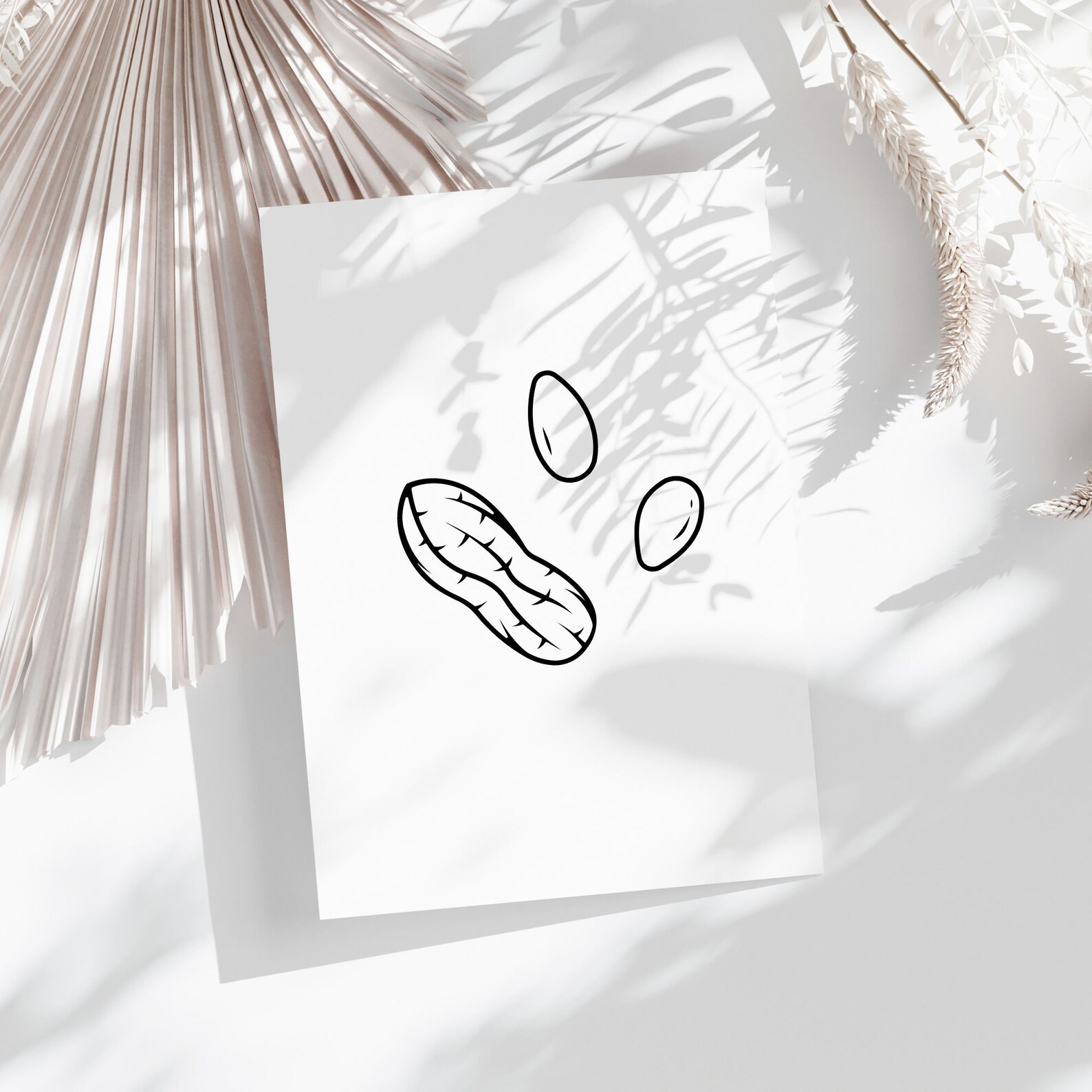 Nuts SVG Bundle\ SVG Files for Cricut\ Nut Clipart\ Nature SVG\ Forest ...