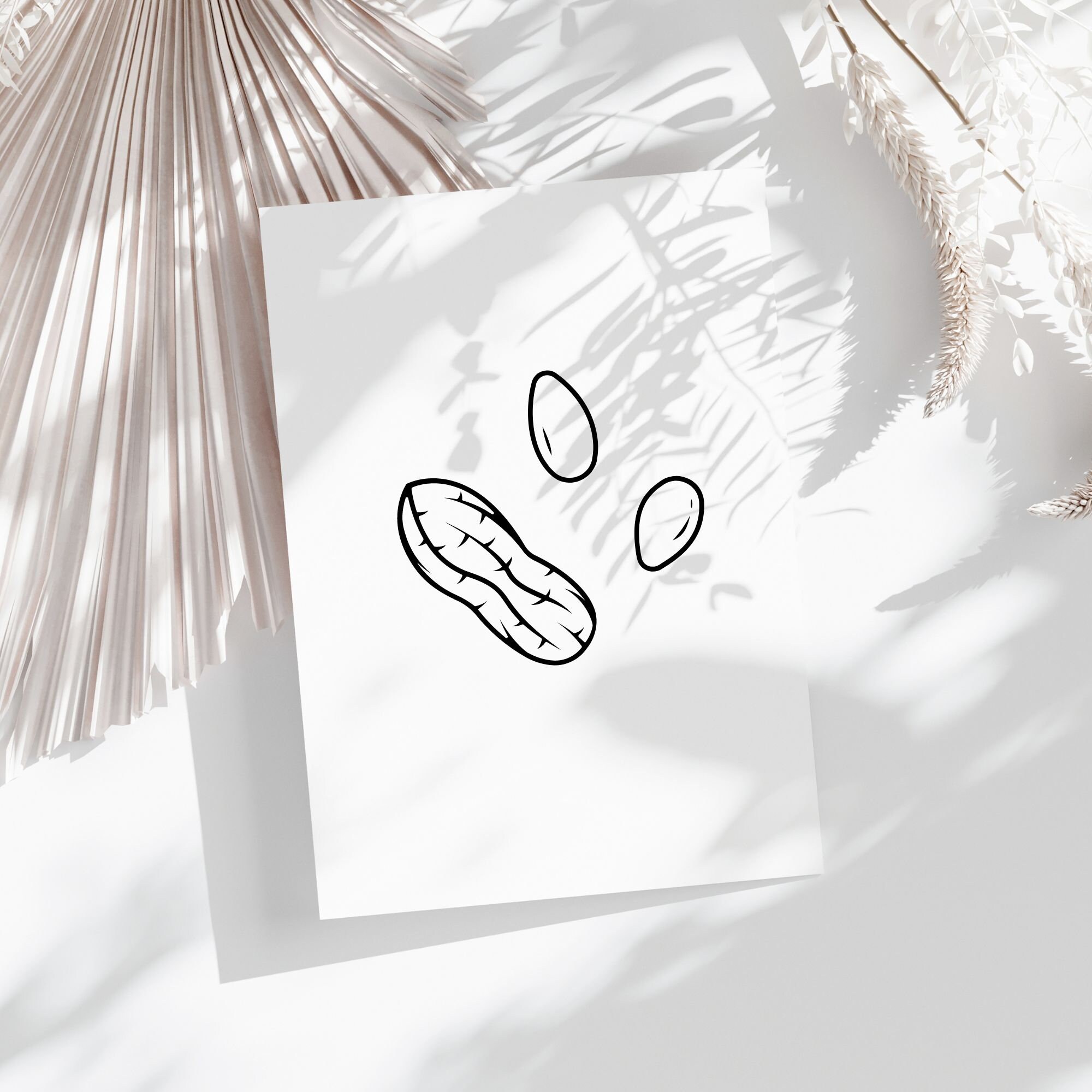 Nuts SVG Bundle\ SVG Files for Cricut\ Nut Clipart\ Nature SVG\ Forest ...