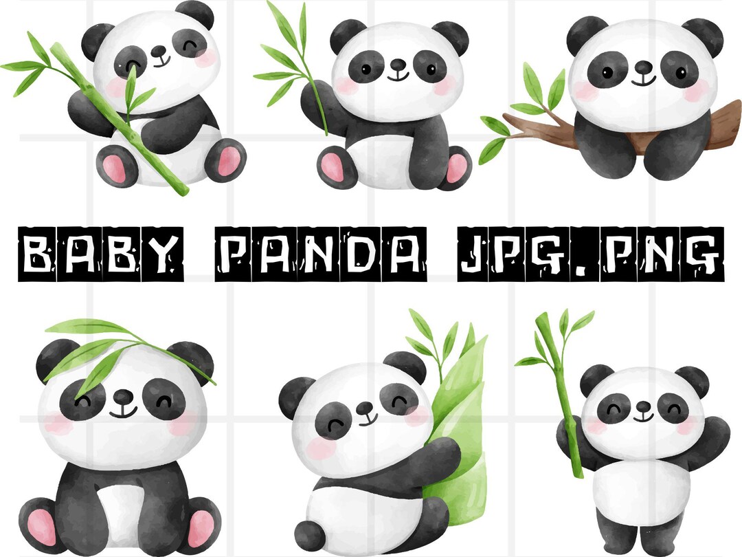 Panda\ Little Animals Watercolor Clipart\ Watercolor\ Bear Panda Cub ...