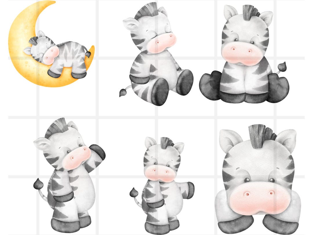 Watercolor Baby Zebra Clipart Bundle\ Cute Zebra Clipart\ Little Zebra ...