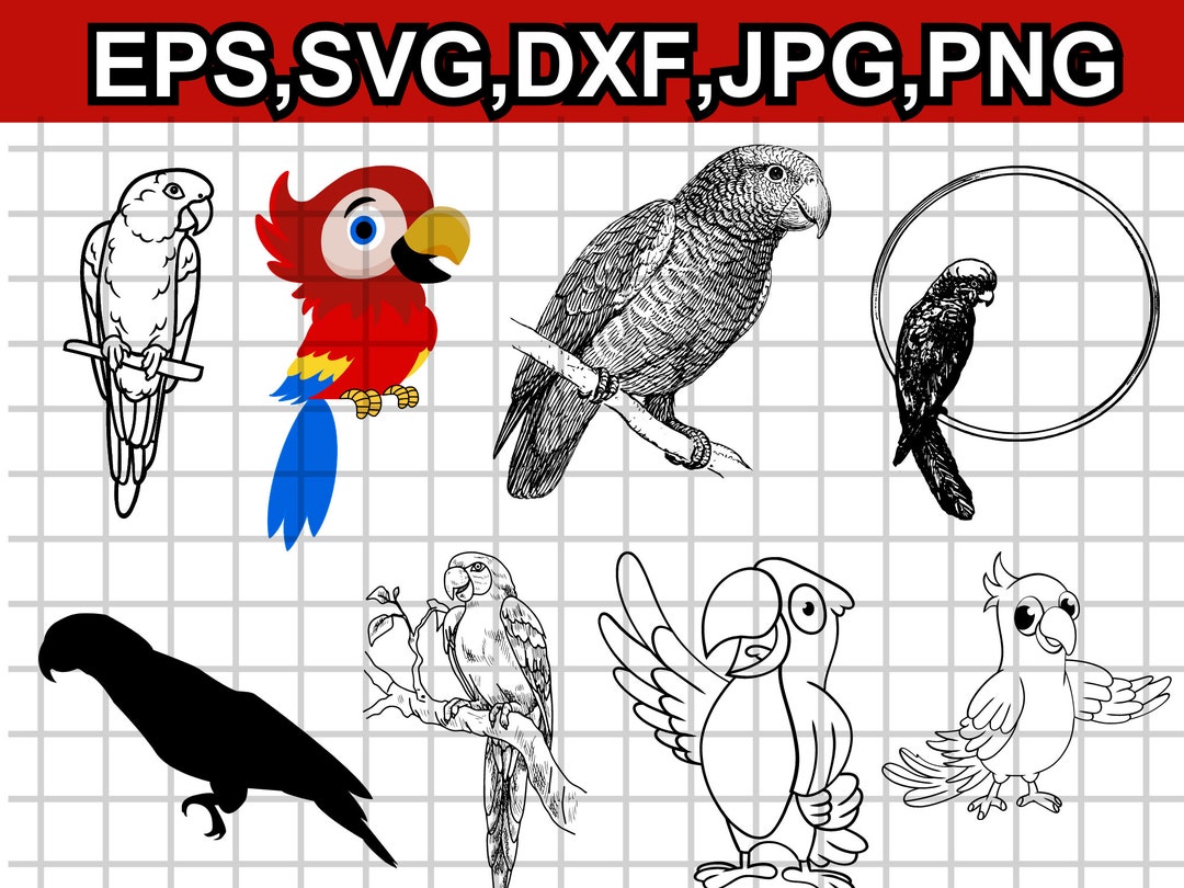 Parrot SVG Bundle - Parrot PNG Bundle - Parrot Clipart - Parrot SVG Cut ...