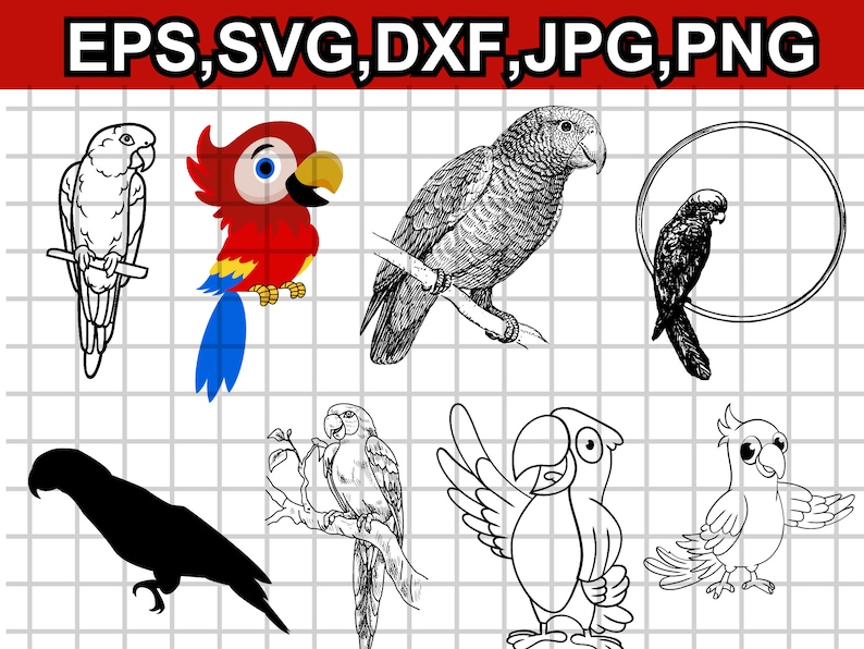 Parrot SVG Bundle Parrot PNG Bundle Parrot Clipart Parrot SVG Cut Files ...