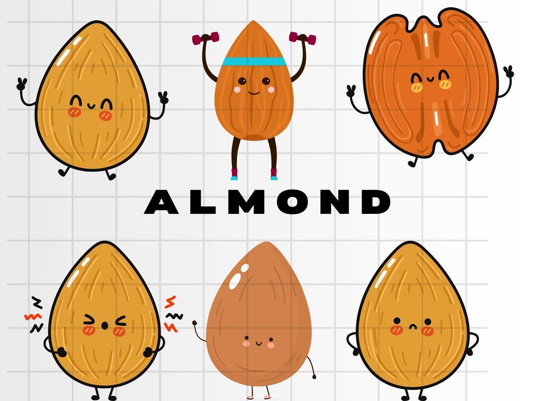 Almond SVG Bundle\ Wood Nuts Svg\ Almond Milk Svg\ Almond Silhouette ...