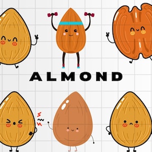 Almond SVG Bundle\ Wood Nuts Svg\ Almond Milk Svg\ Almond Silhouette ...