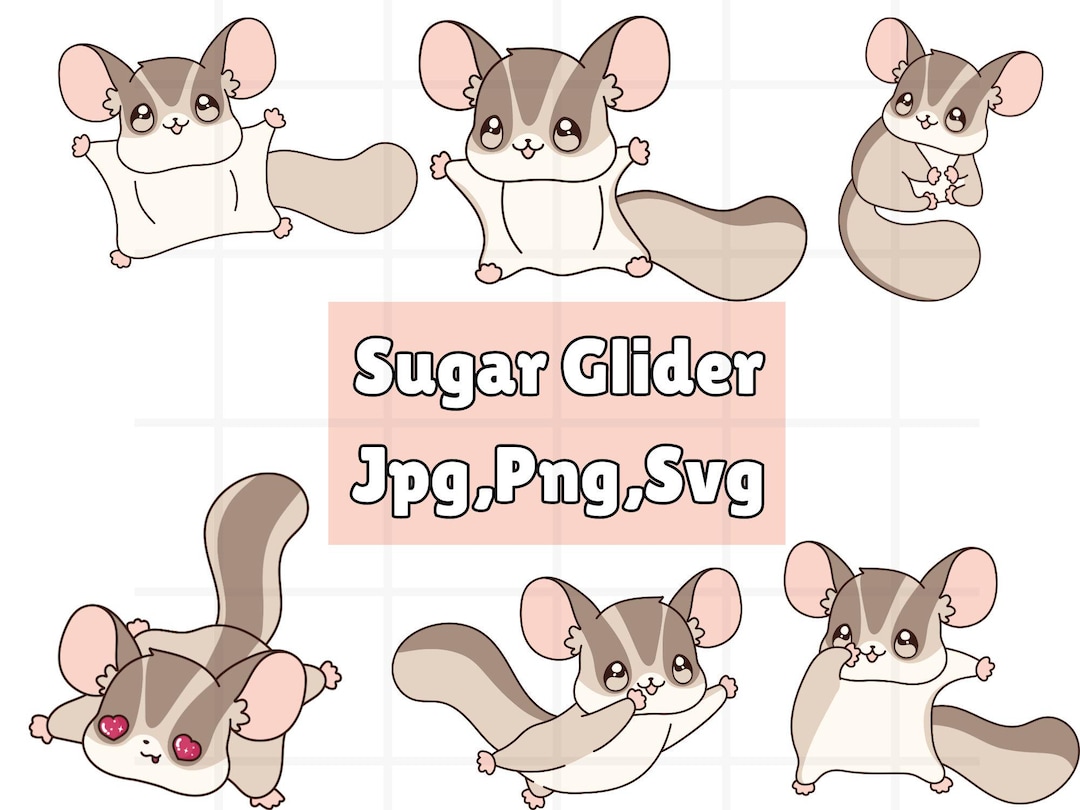 Sugar Glider SVG Cut File for Cricut\ Silhouette\ Digital Download ...