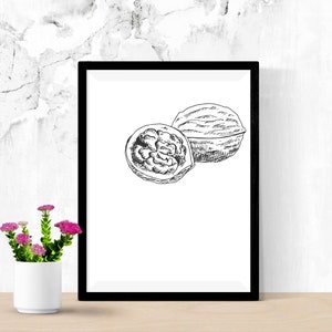 Nuts SVG Bundle\ SVG Files for Cricut\ Nut Clipart\ Nature SVG\ Forest ...