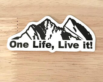 One life live it sticker - Etsy Nederland