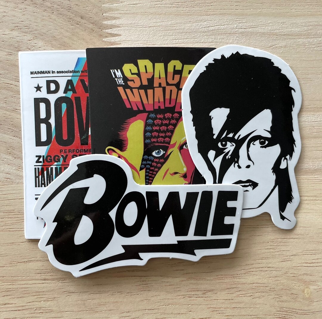 Set of 4 David Bowie Stickers Ziggy Stardust - Etsy