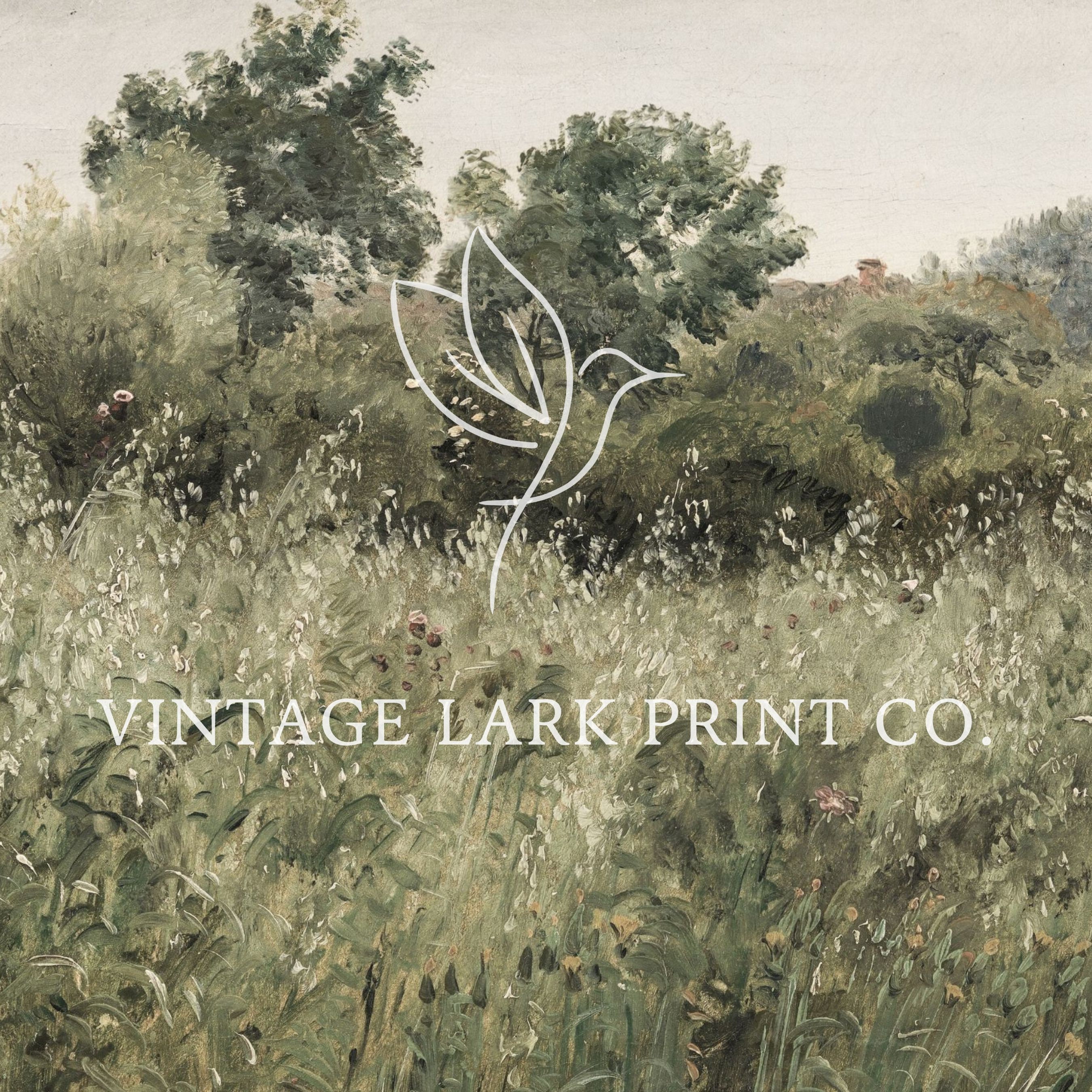 Vintage Landscape Spring Wildflower Field Flower Meadow Country ...