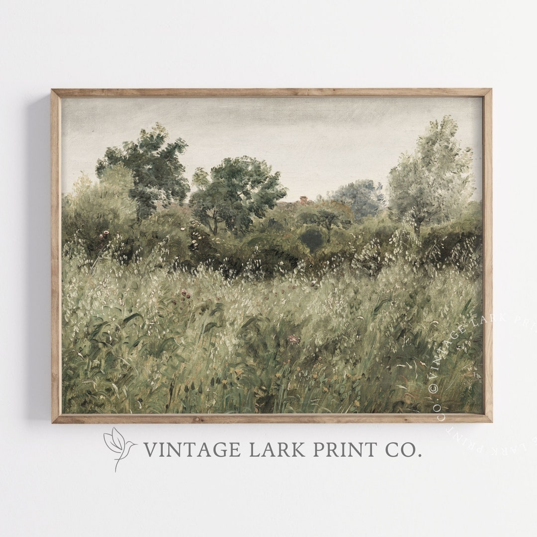 Vintage Landscape Spring Wildflower Field Flower Meadow Country ...