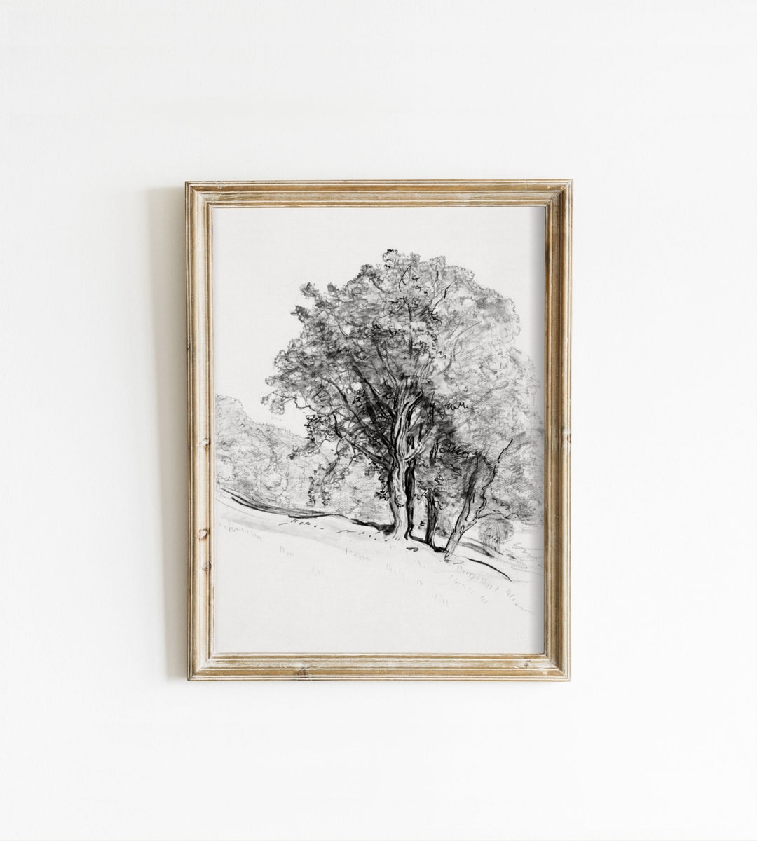 Vintage Tree Sketch | Kitchen Shelf Wall Art | Tree Study Drawing ...