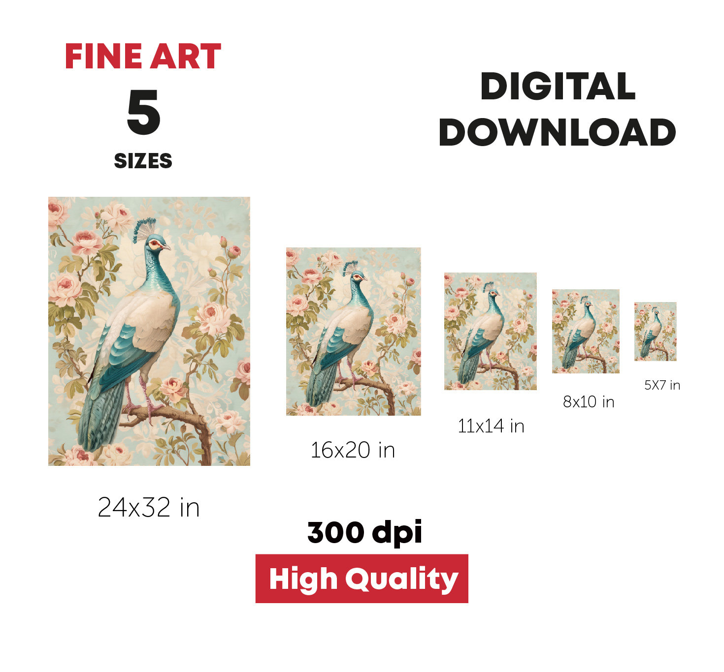 Victorian Peacock | French Country Wall Decor, Dark Academia Room Decor ...