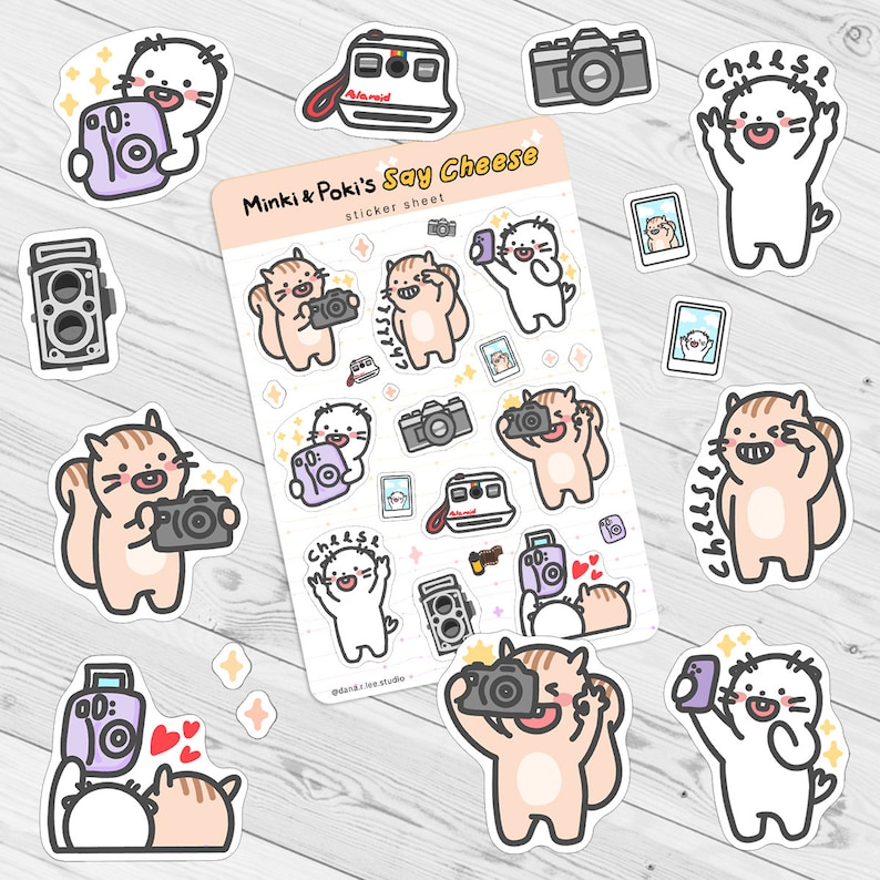 Cute Photograph Sticker Sheet for Camera Lover Selfie Time Sticker for ...